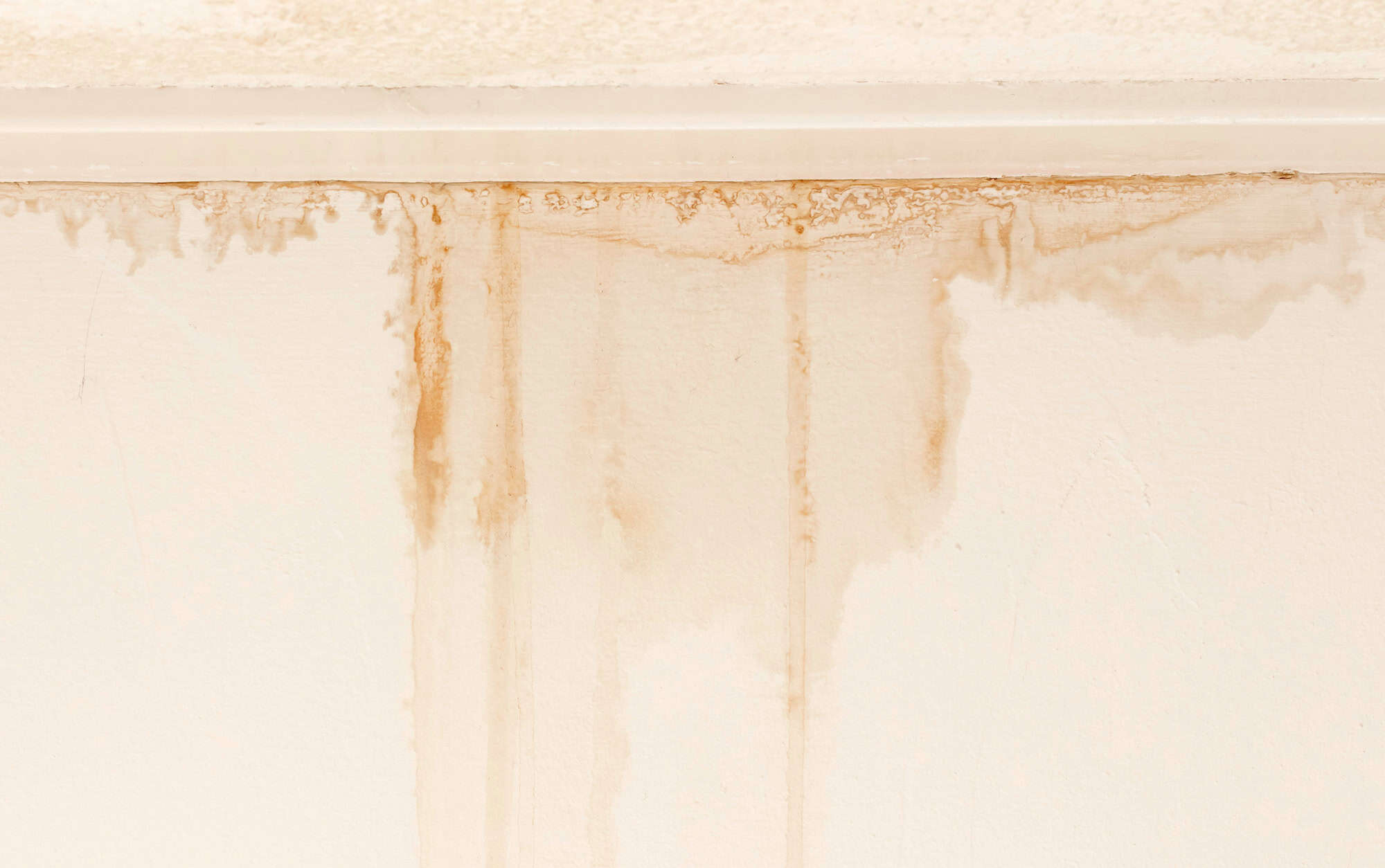 Fix Stains Bleeding Through Ceiling Paint Easily